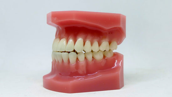 How to Choose the Right Acrylic Teeth for Your Denture – Uhler Dental ...